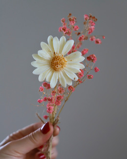 La tige de fondant parfumé PÂQUERETTE & son gypsophile – Laka Bougies